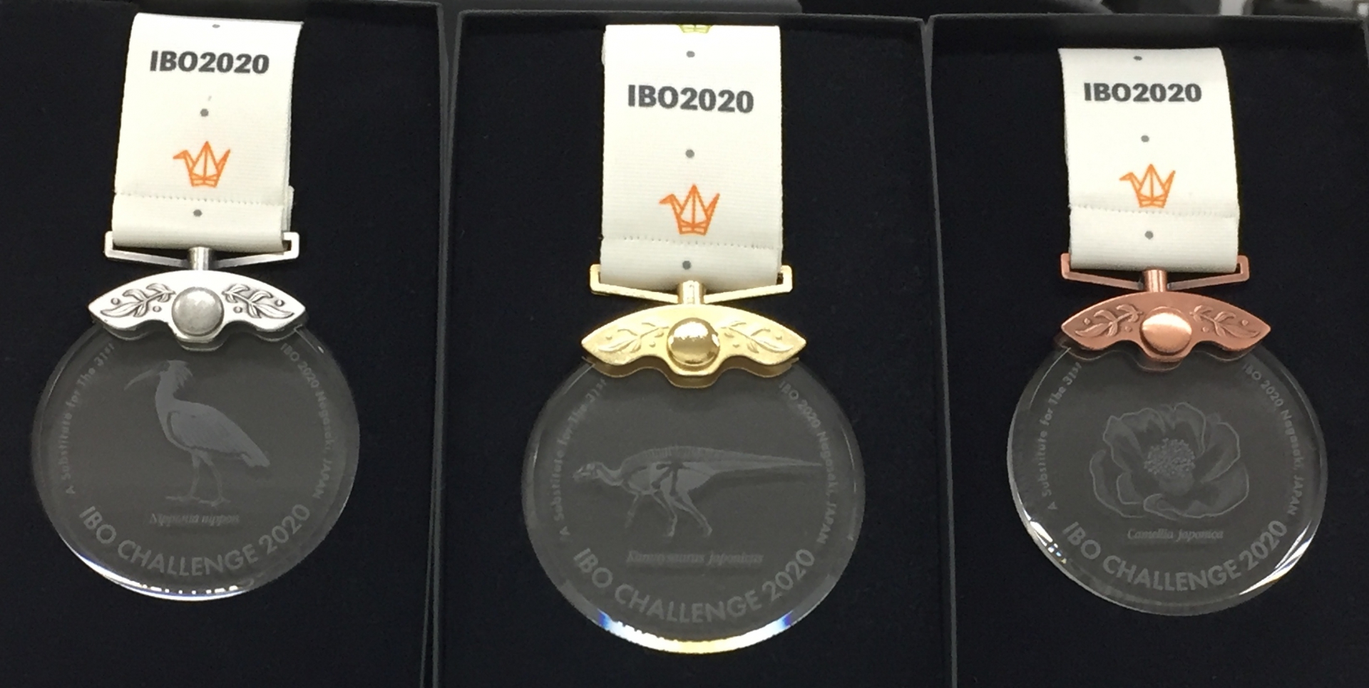 IBO Challenge 2020 Results | IBO2020 Nagasaki