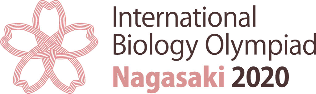 IBO2020リモート大会(IBO Challenge 2020)